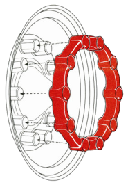 Safe Wheel, Nut Retaining Ring