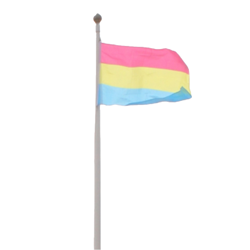 Pans XL Flag Pole Flag | Happypride