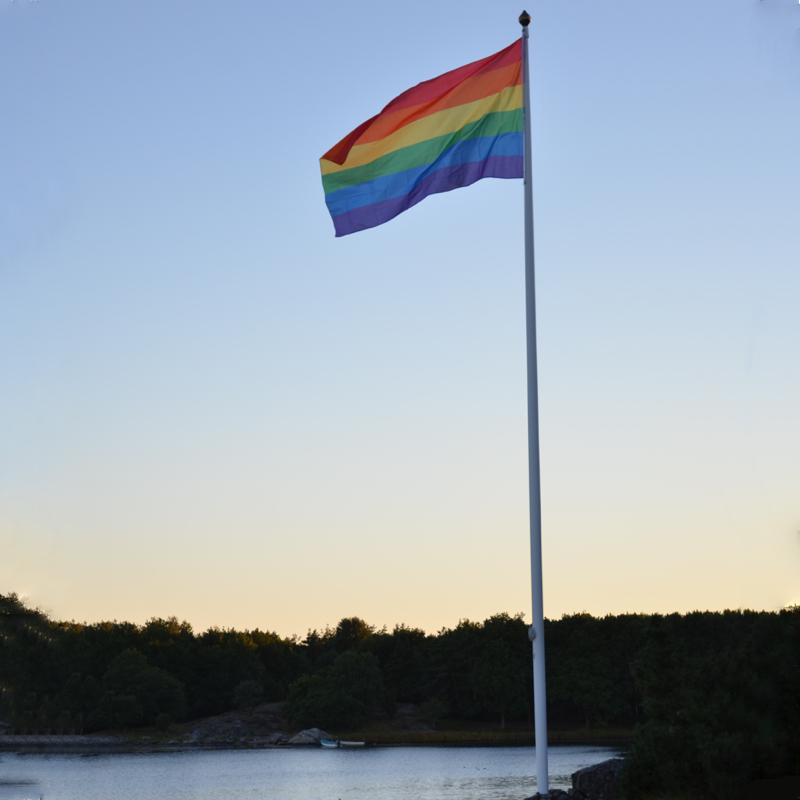 Pride flag for flagpole 150 x 280cm - HappyPride