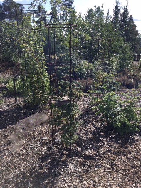 PKEK Sweden - Quality of life - SPALJE RUND STÅL