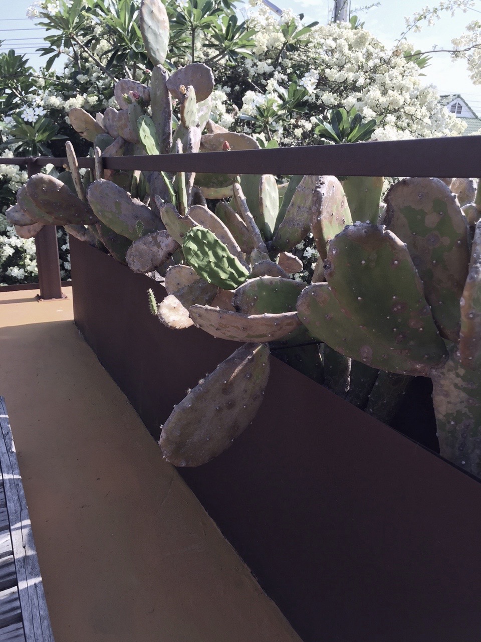 PKEK Sweden - Quality of life - KRUKA AVLÅNG PKEK