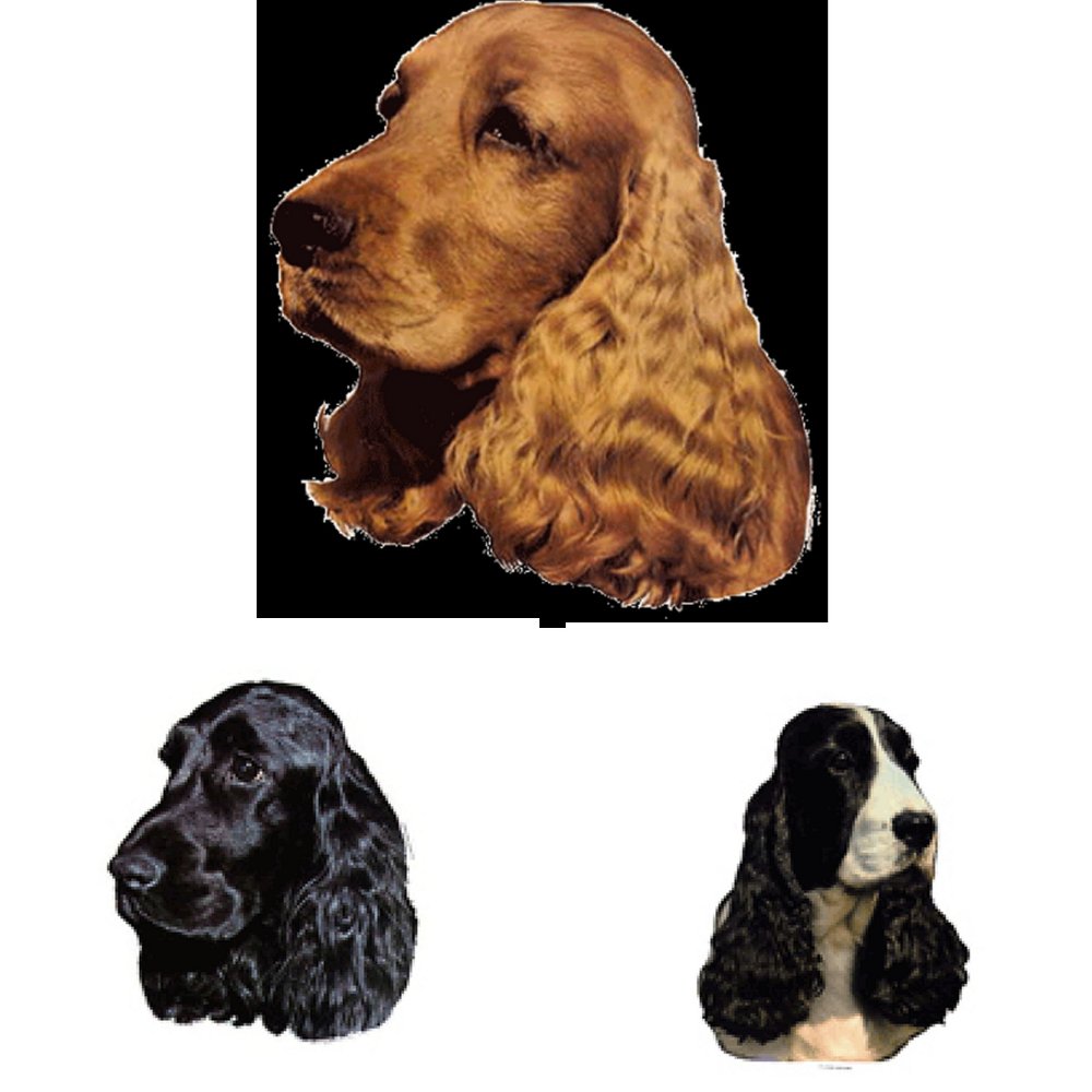 Dekal Cocker Spaniel - Hundteknik