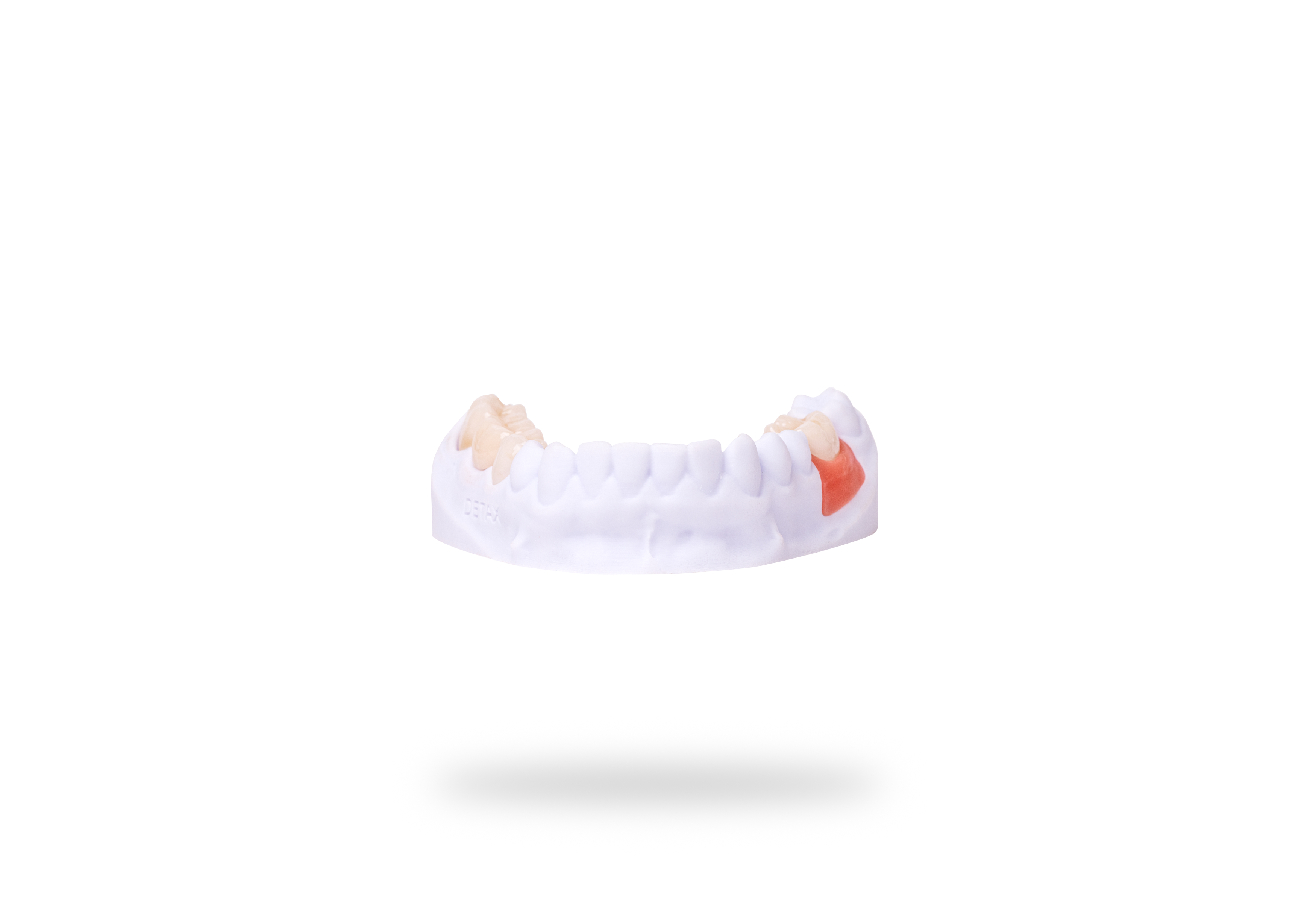 Detax Freeprint Gingiva 500 g