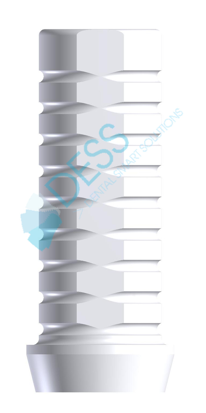 Castable non-engaging RP for Brånemark System®