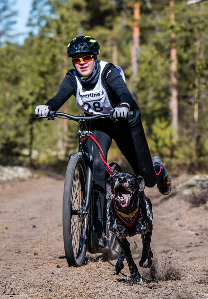 KICKBIKE sparkcykel Cross Max 29er svart - Kickbike.se