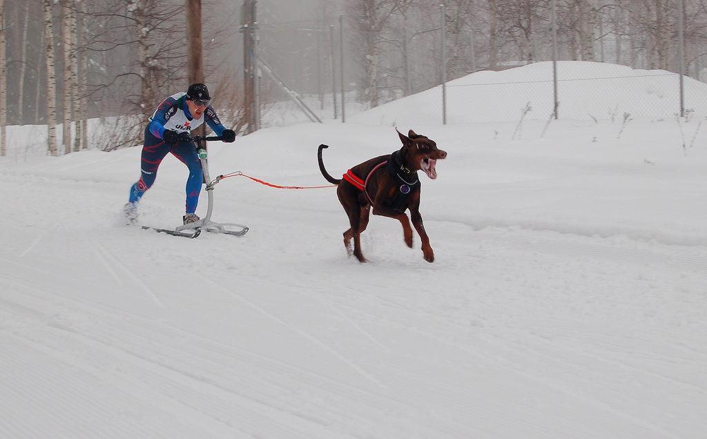 KickSpark Max spark frostblå - PASS PÅ! 1/1-2024 nytt pris! - Kickbike.se
