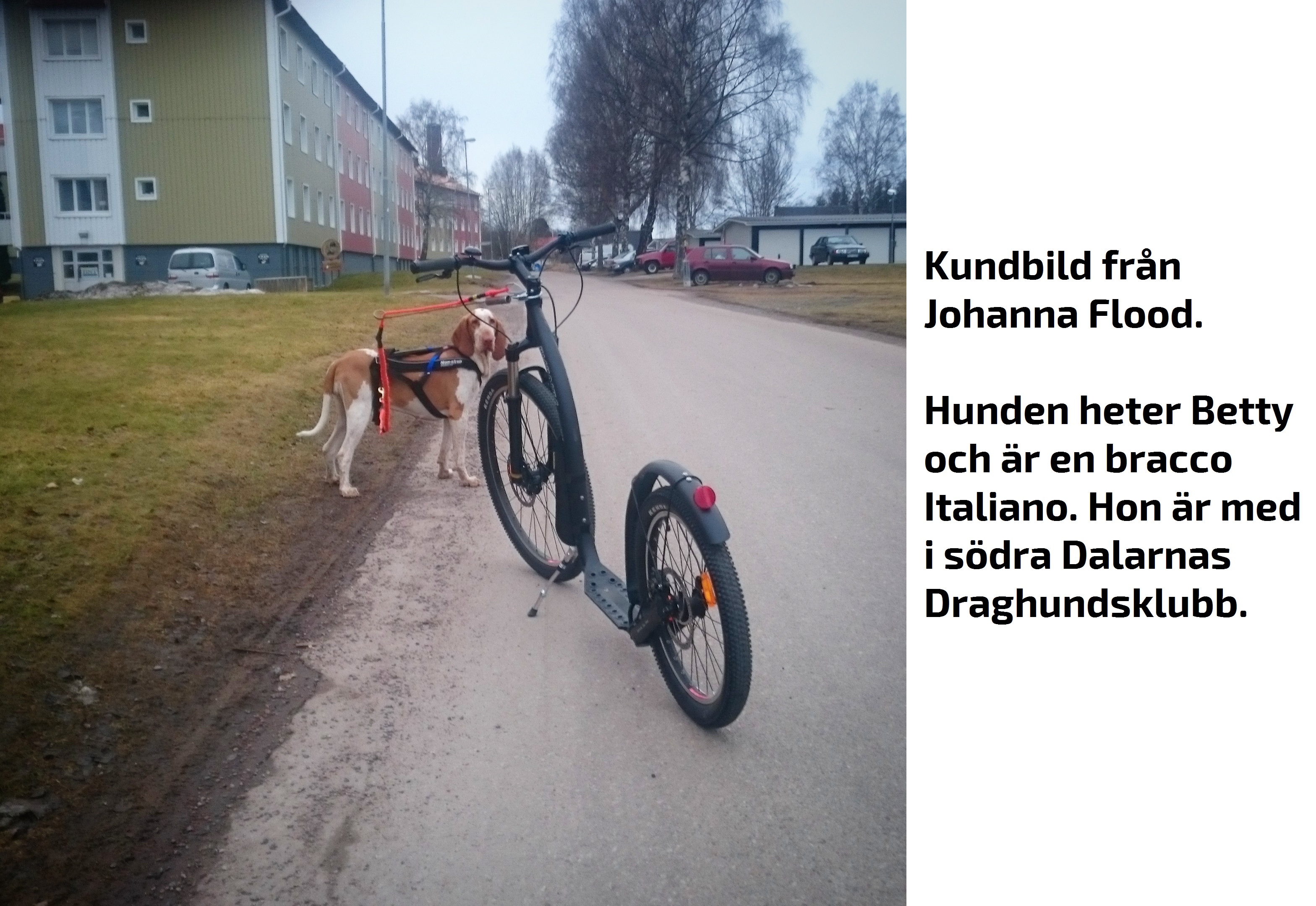 KICKBIKE sparkcykel Cross Max 20HD Alu - Kickbike.se