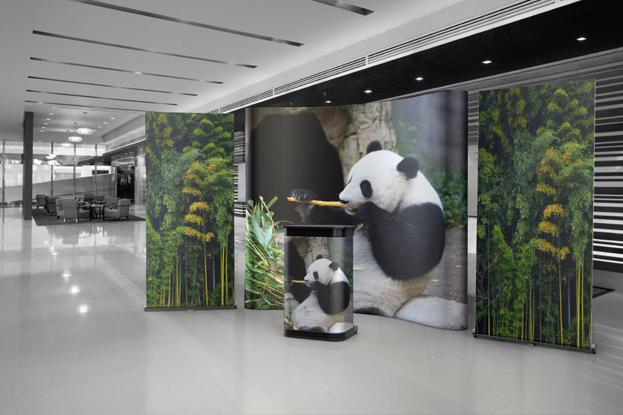 Spennare Large Kit 1 - Display Projekt