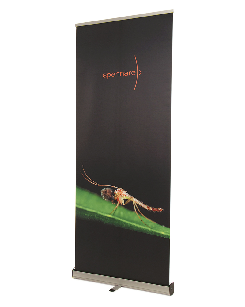Spennare Roll Up Impact - Display Projekt