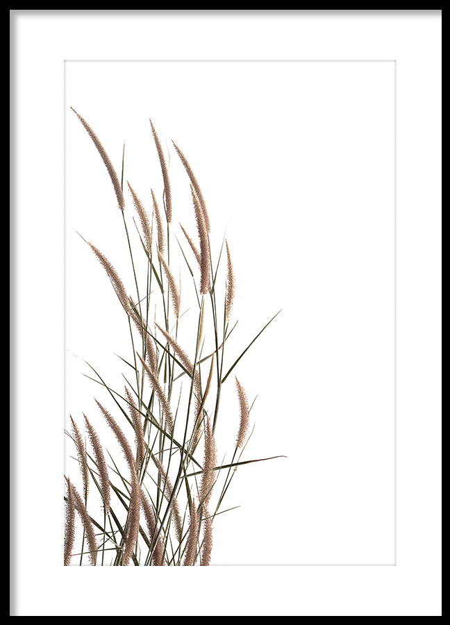 Poster - Rumput - | Canvasbutik.com