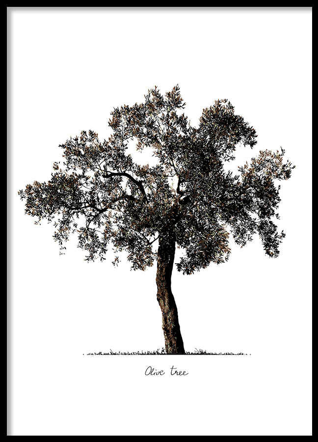 Poster - Tree - | Canvasbutik.com