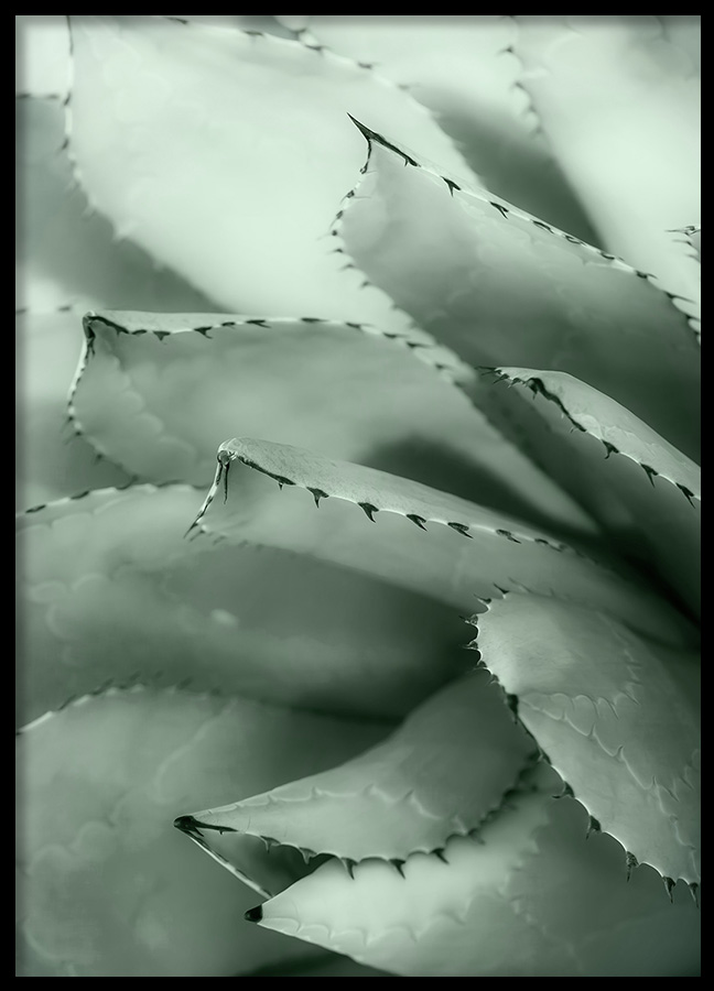 Poster - Lush - | Canvasbutik.com