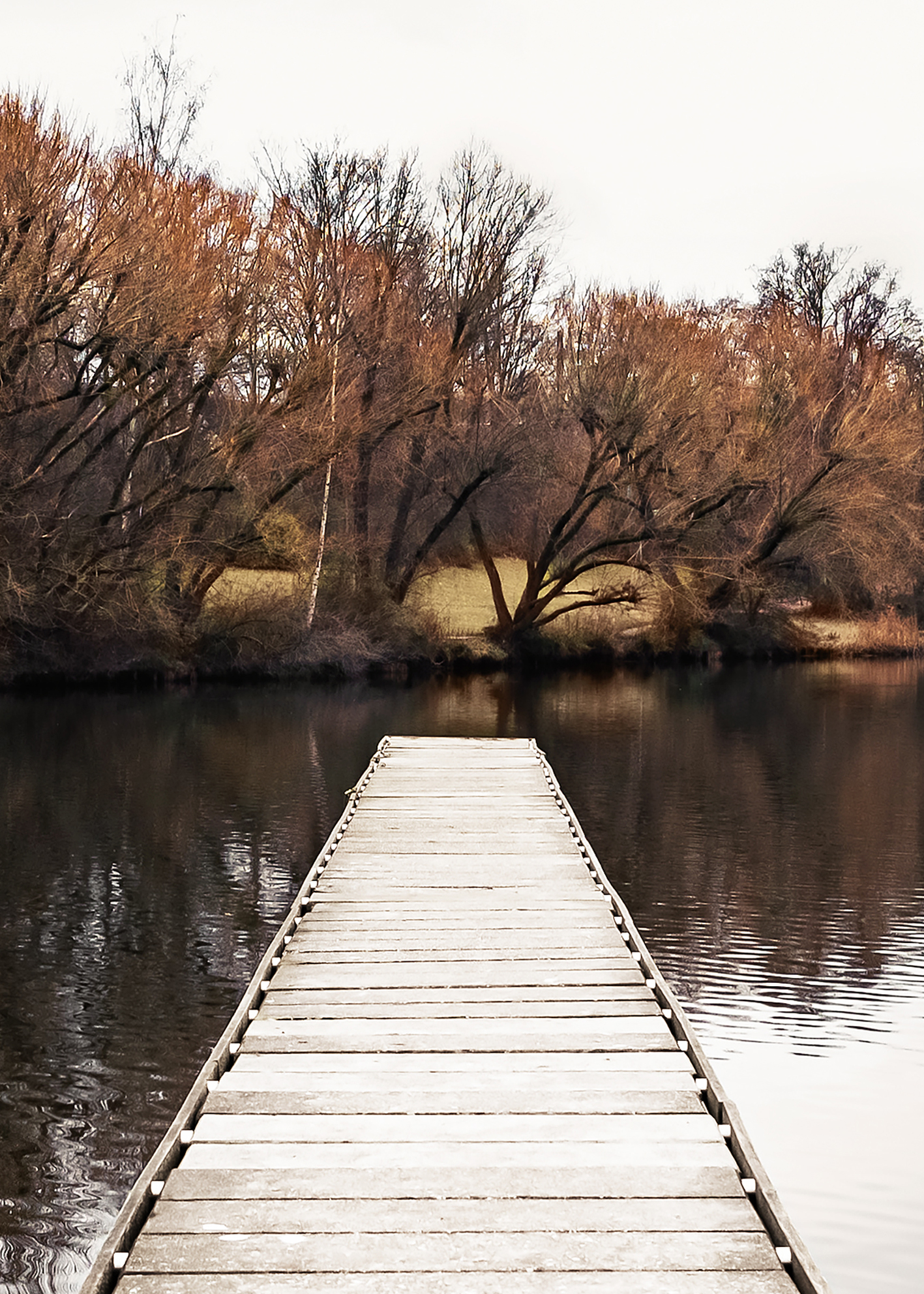 Wall Absorber - Calmful - | Canvasbutik.com