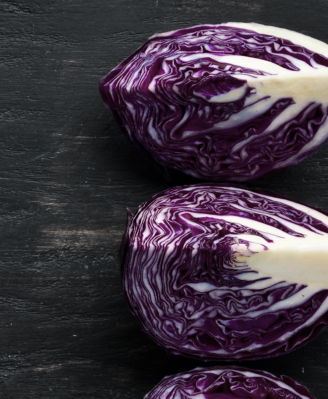 Canvastavla - Purple cabbage - | Canvasbutik.se