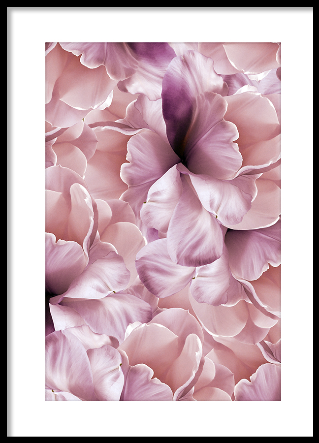 Poster - Rose - | Canvasbutik.com