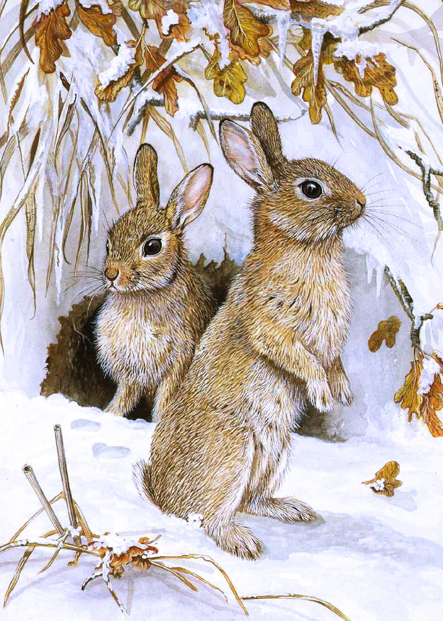 Changed Landscape, Rabbit - by Dick Twinney - Dummies.SE