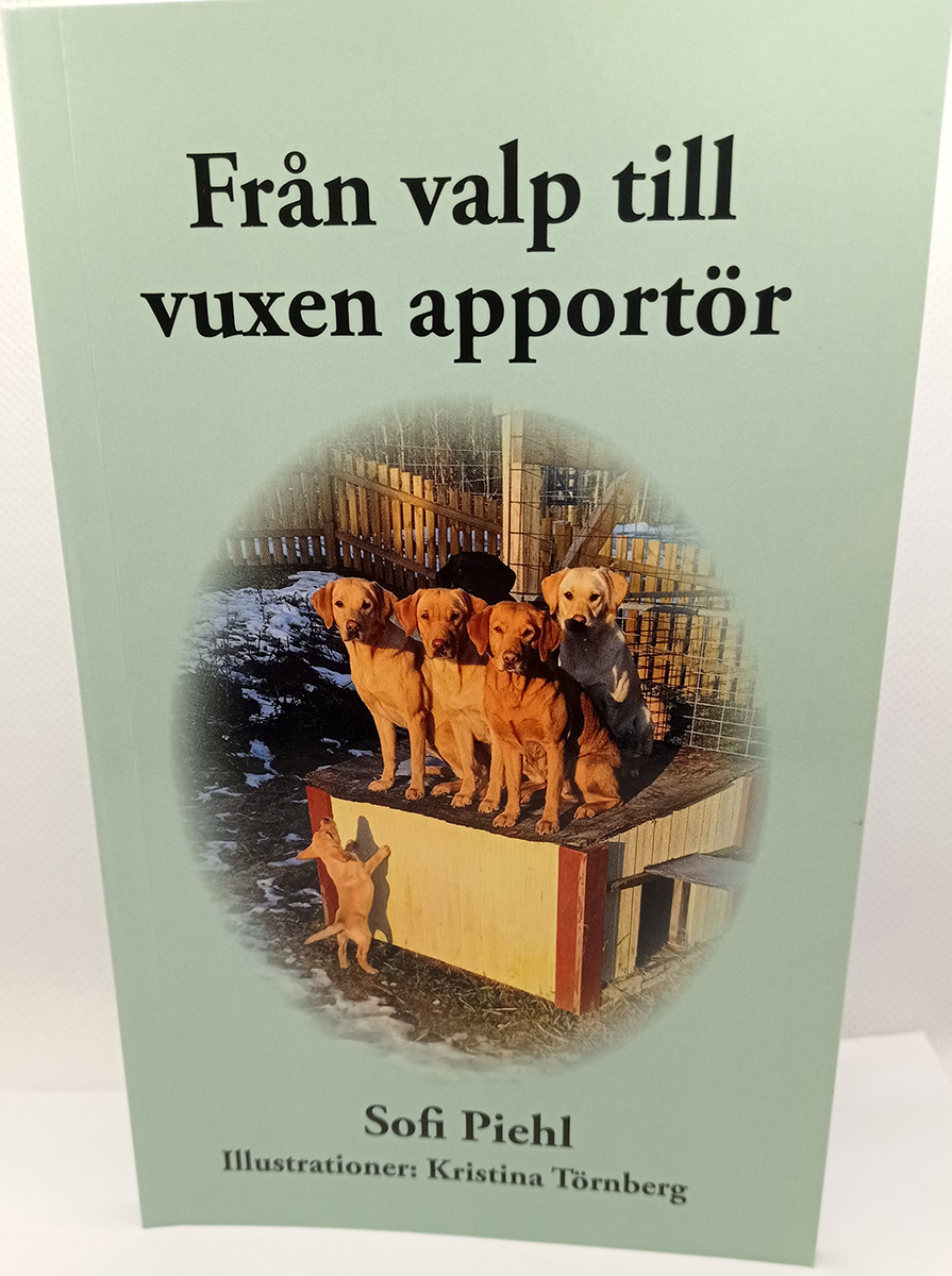 Från valp till vuxen apportör, Sofi Piehl - Dummies.SE
