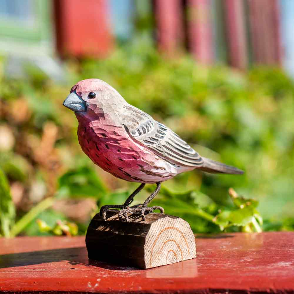 DecoBird House Finch - Wildlife Garden Online
