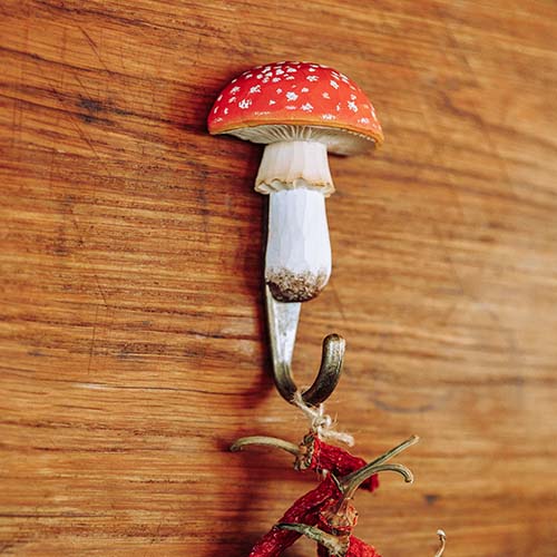 Krok Röd Flugsvamp - Wildlife Garden Online