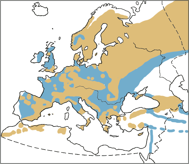 Bec-croisé des Sapins - Wildlife Garden Online