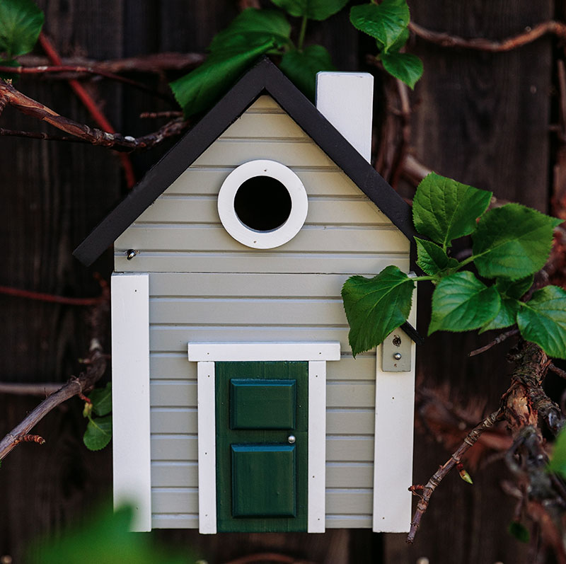 Birdhouses | Bird Feeders | Hand-carved Birds | Wildlife Garden