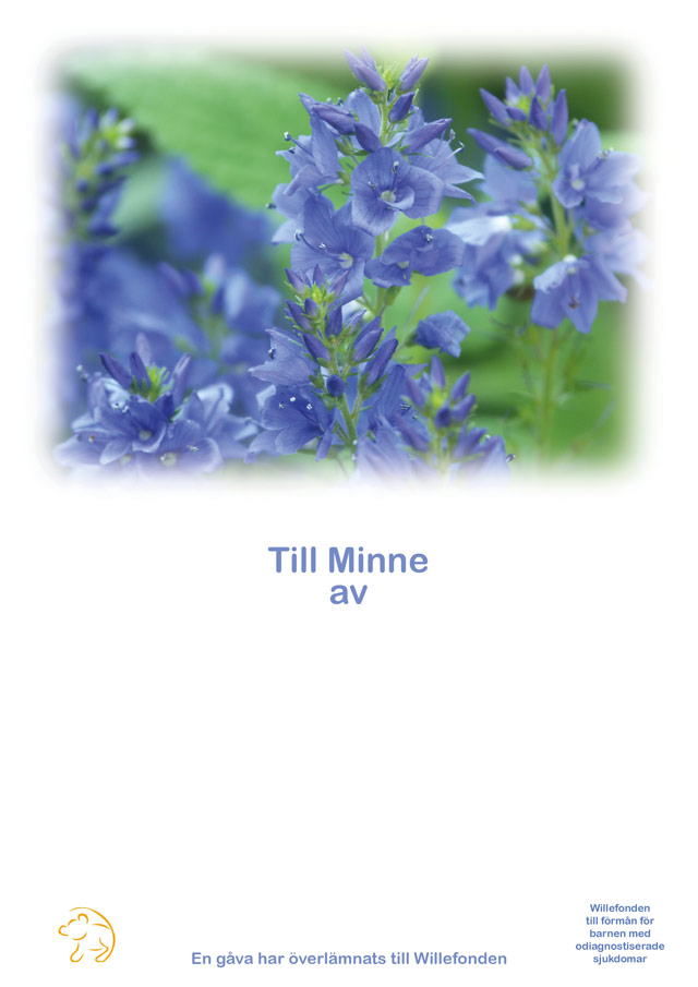 Isop - Willefondens shop