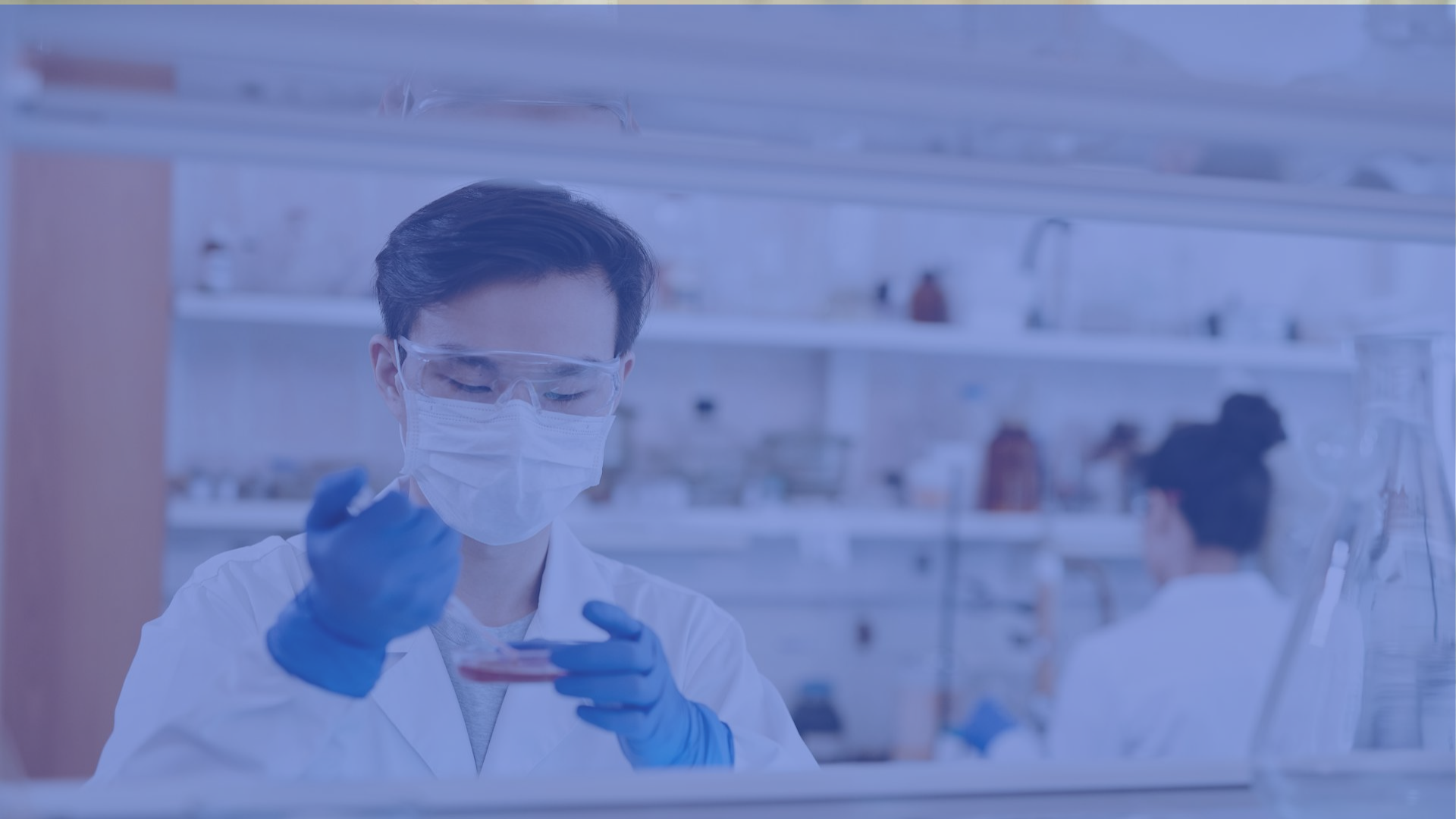Cryopreservation/Cell banking - AlexoTech