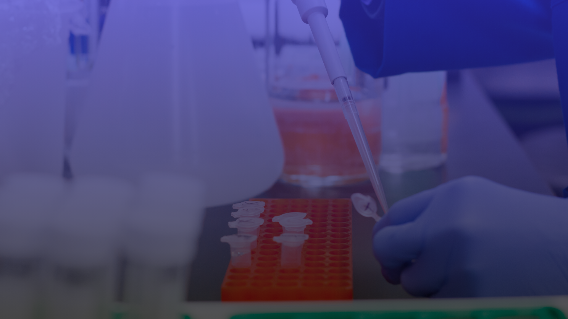 Assay Design and Analysis - AlexoTech