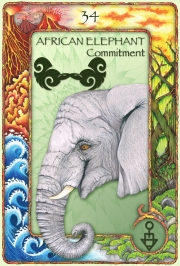 Stengarden.com - WORLD ANIMAL DREAMING ORACLE - Expanded Edition Oracle ...