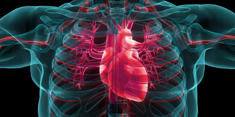 Dålig blodcirkulation i händer & fötterna | Symptom & tips - Mediconline