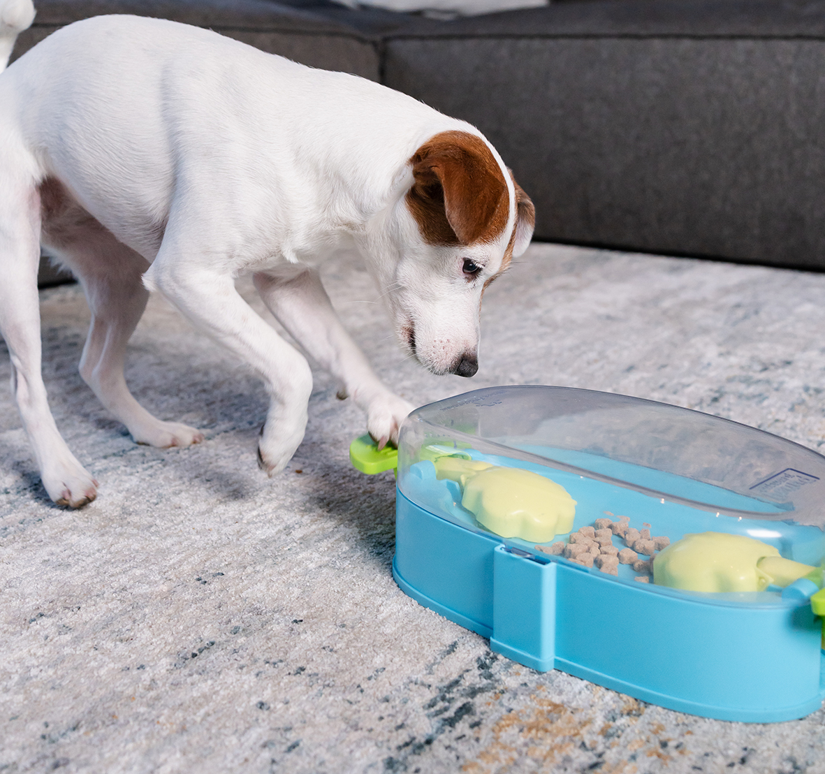 PAW N' PLAY - Nina Ottosson Treat Puzzle Games for Dogs & Cats