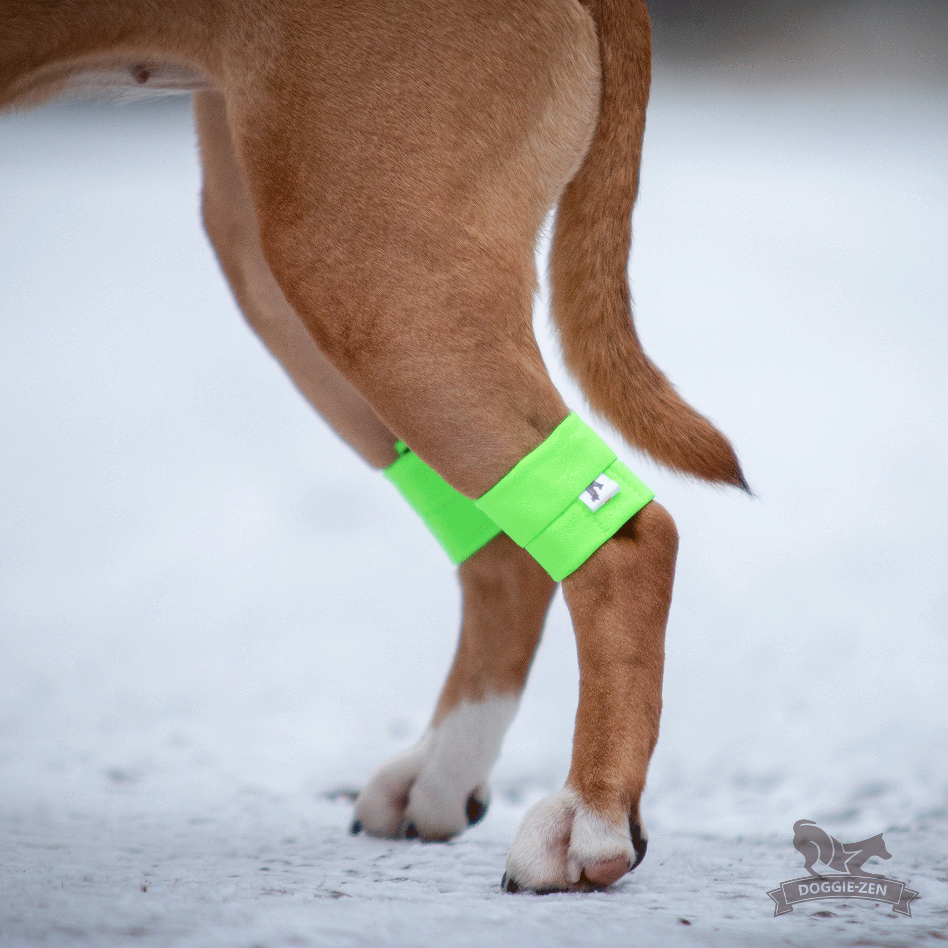 Canine Wrist/Ancle Weight Cuffs - Doggie-Zen