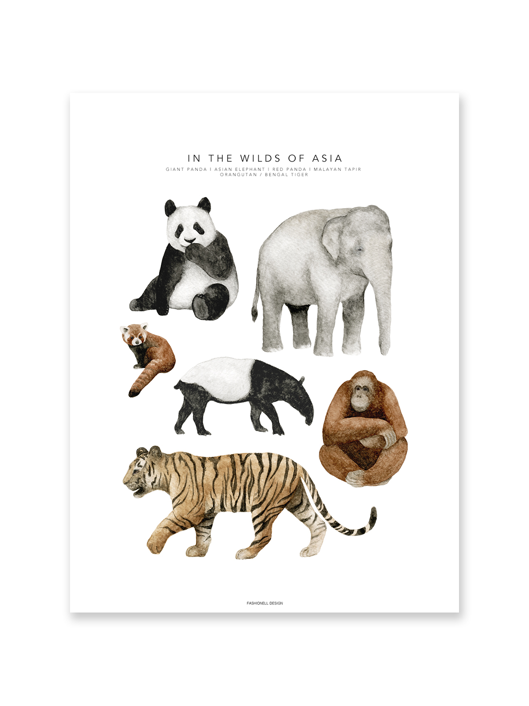 Barn tavla - Poster - Djur - Asien - Tiger - Panda - Elefant - djurposter