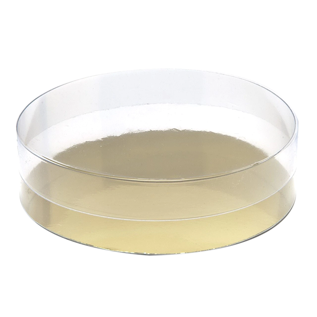 Clear base & lid box round, 100 mm - Chocolate-packaging.com