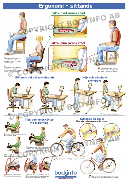 Sittergonomi - Bodynfo