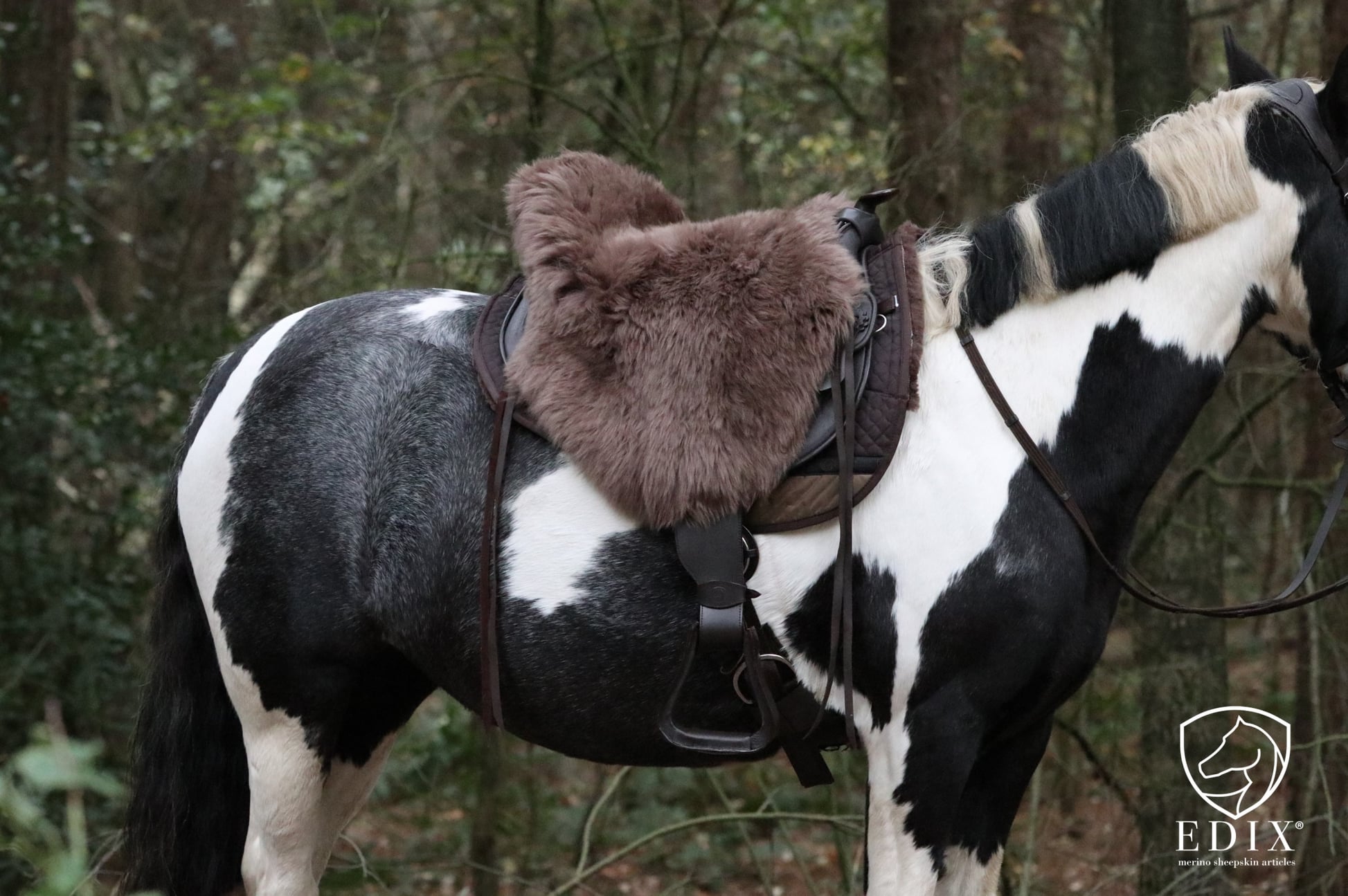 EDIX® Gibar Seatsaver / sadelsits (bomlösa sadlar), äkta Merinoull ...