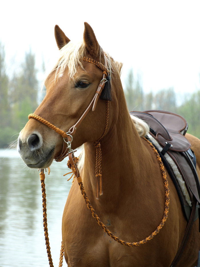 Barefoot® Amber kombinationsträns, cognac/orange - www.taur.se