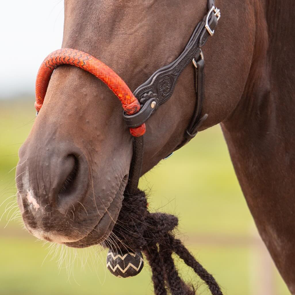 Edix® Chara Bosal Rawhide Light Brown - www.taur.se