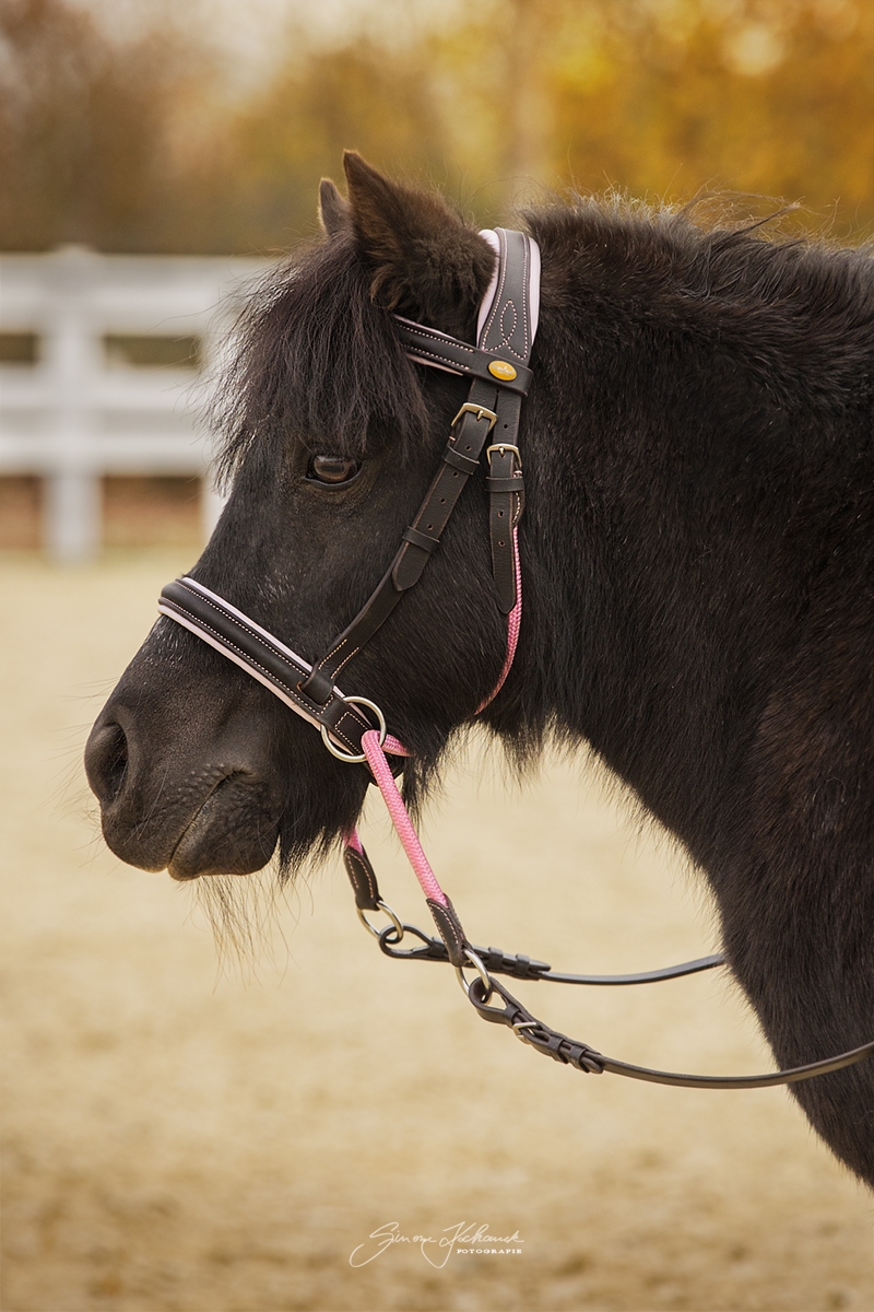 Barefoot® Bitless Bridle Lily Ponny, rosa - www.taur.se