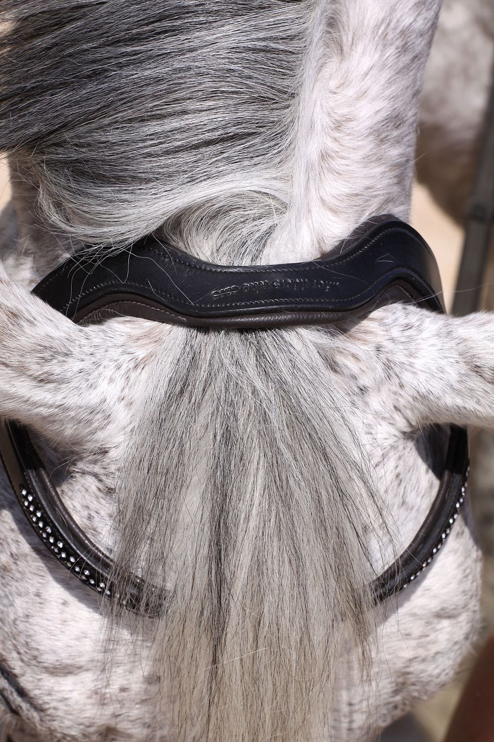 Barefoot® Bitless Bridle Contour Jewel - www.taur.se