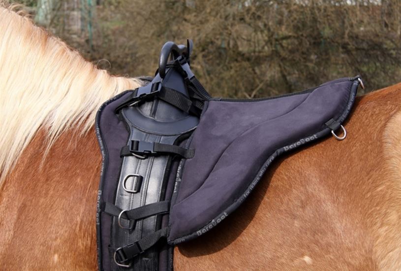 Barbackapad till träningsgjord, Barefoot® - www.taur.se