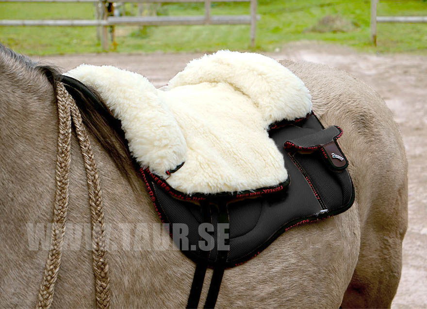Pioneer® Ridpad Barbacka OUTBACK (AirMesh & merinoull), svart - www.taur.se