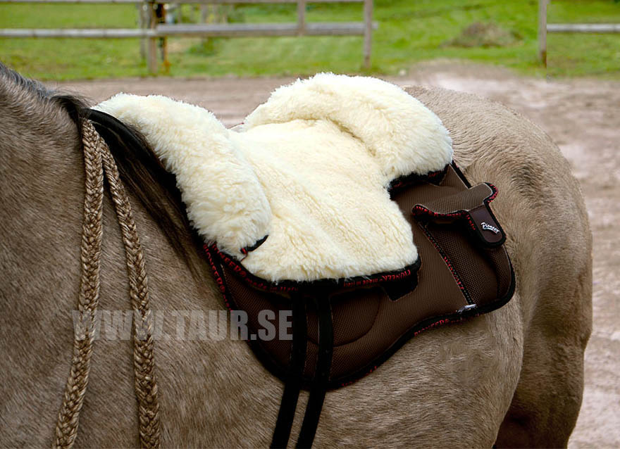 Pioneer® Ridpad Barbacka OUTBACK (AirMesh & merinoull), brun - www.taur.se