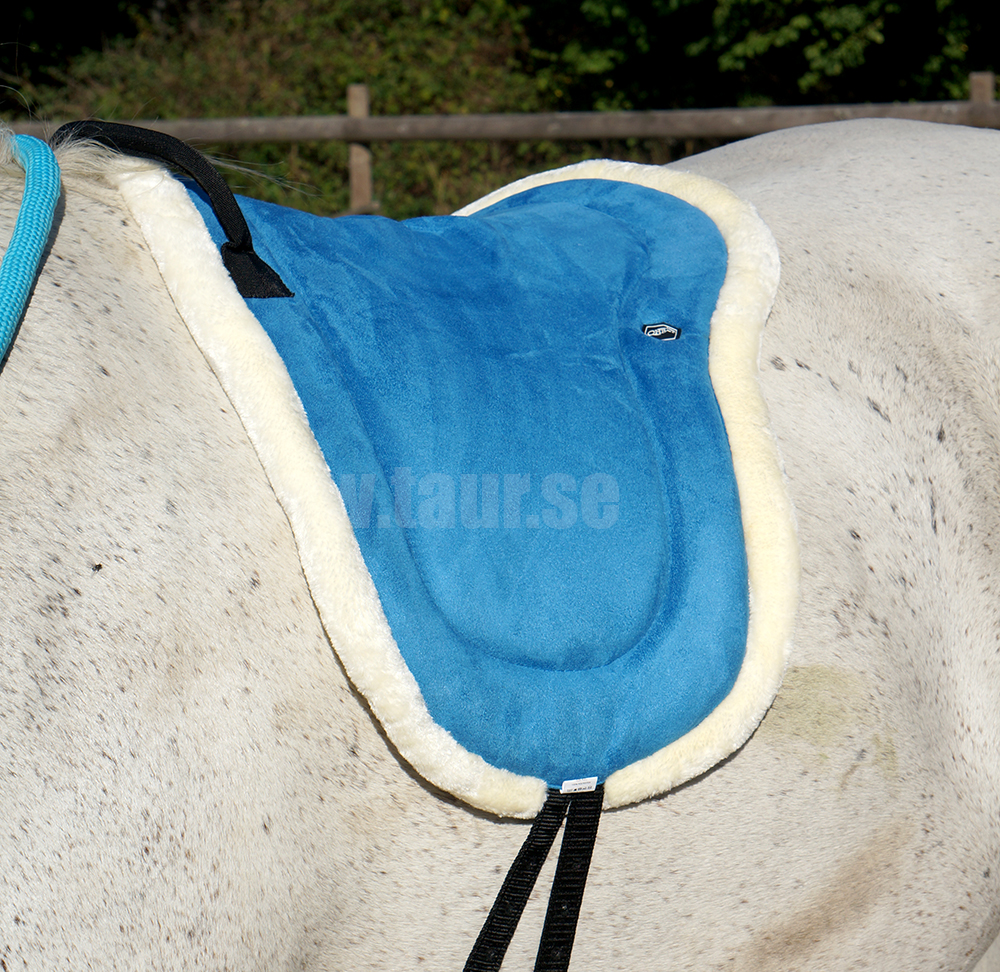 Barbacka / ridpad QHP, ljusblå, full - www.taur.se