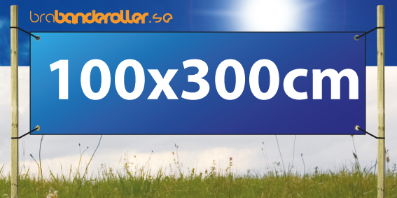 Banderoll Mesh 100x300cm - Tryckt.se