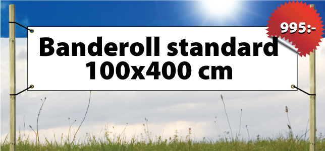Banderoll Standard 100x400cm - Tryckt.se