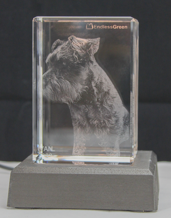 Endless Green - Sweden Crystal Design