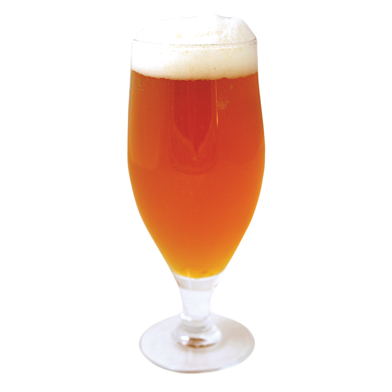 White House Honey Ale - 25 L. Kit - Musterigården