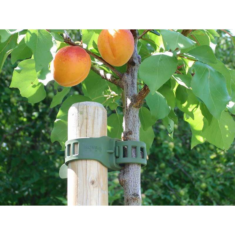 SOFTBINDER DL / Stamstöd - Sneckenström AB