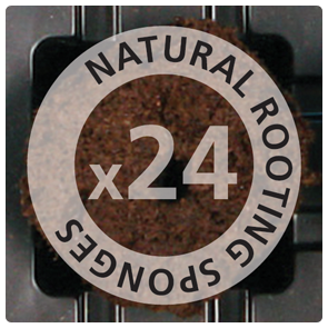 ROOT!T Value rotningsbriketter med tråg, rotningsgel, pluggbrätte ...